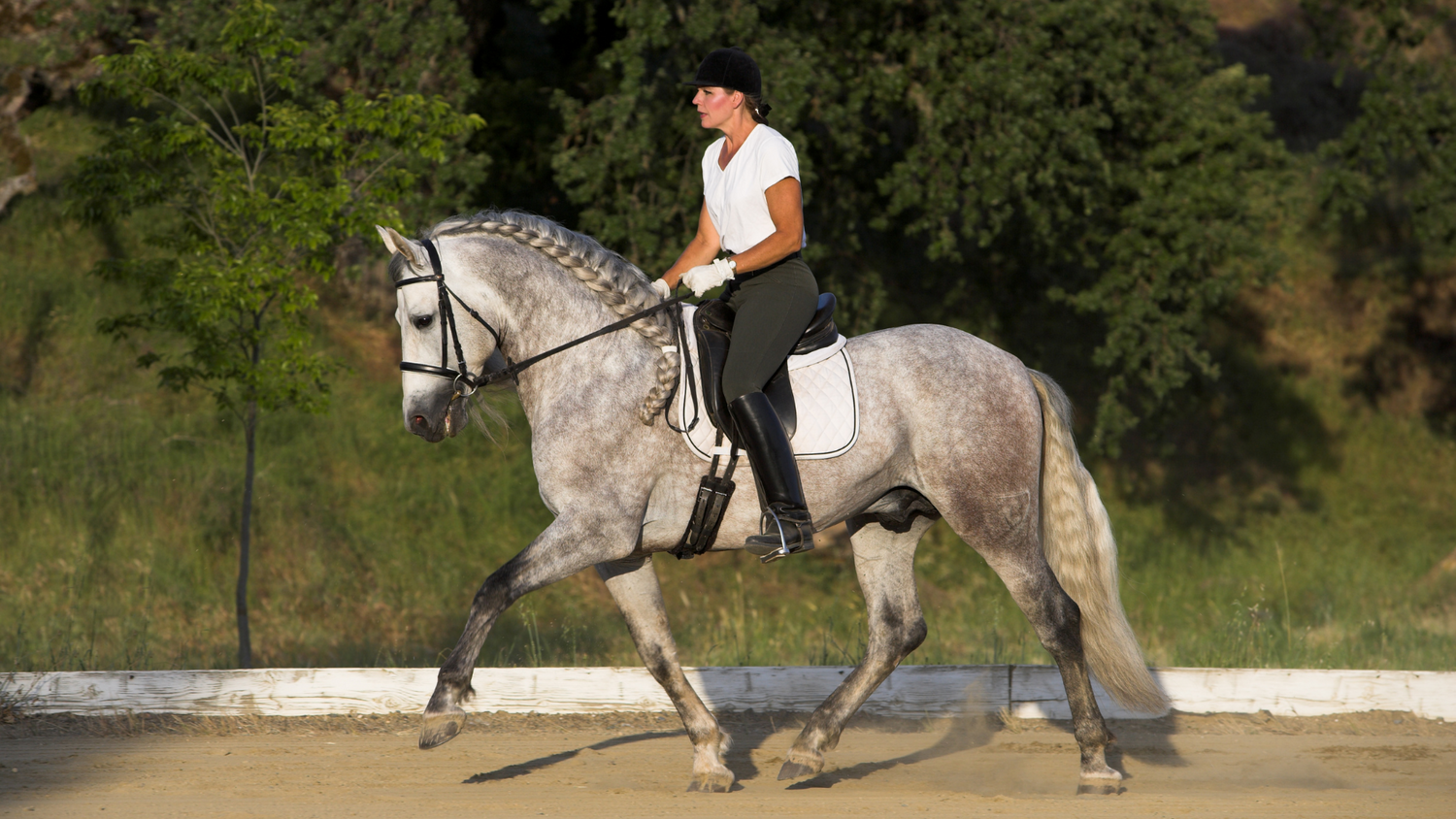 Beginner's Guide to Posting on a Horse