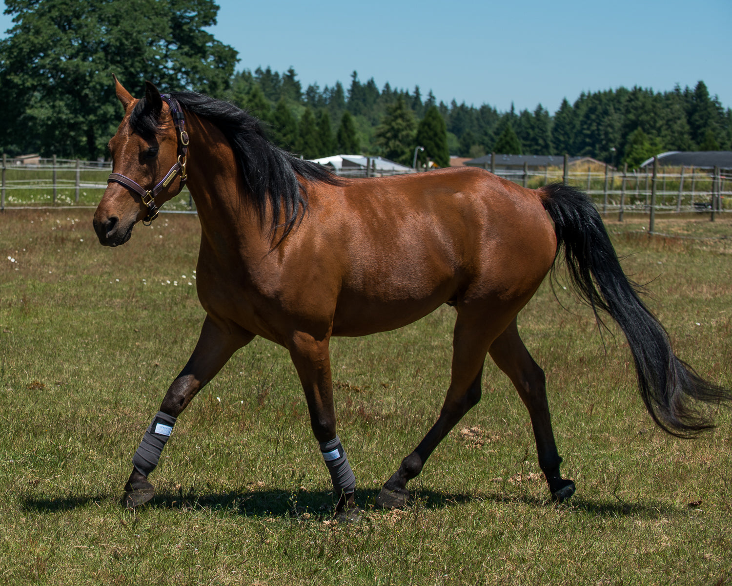 Benefab® Therapeutic Polos: A Better Way To Wrap