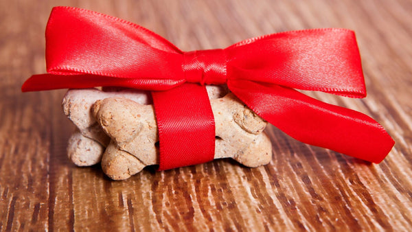 Five Homemade Treats for Dogs - Benefab®