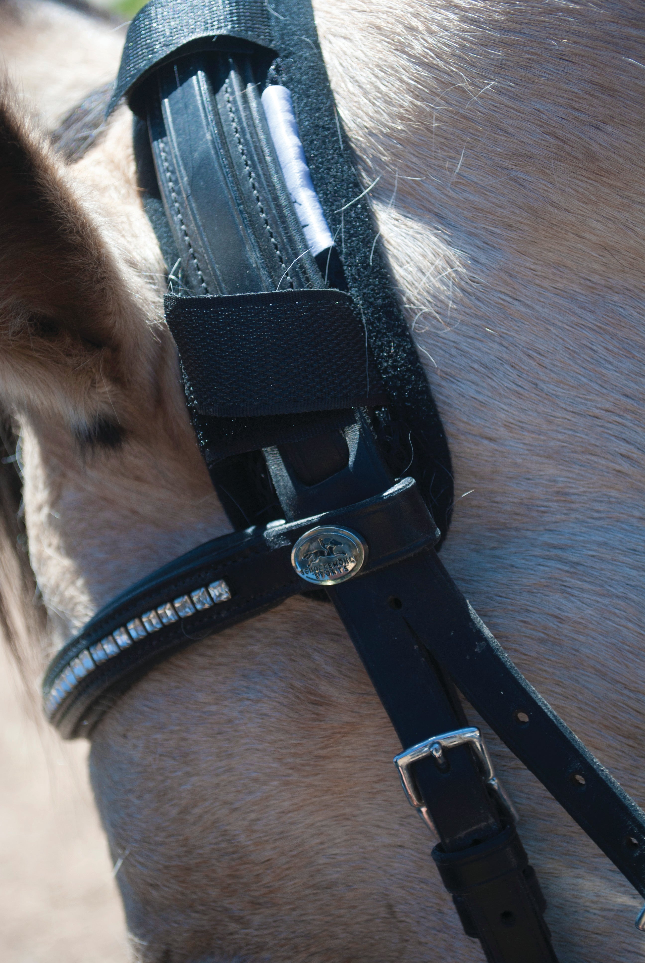 How to Care For Your Horse's Poll - Benefab by Sore No-More