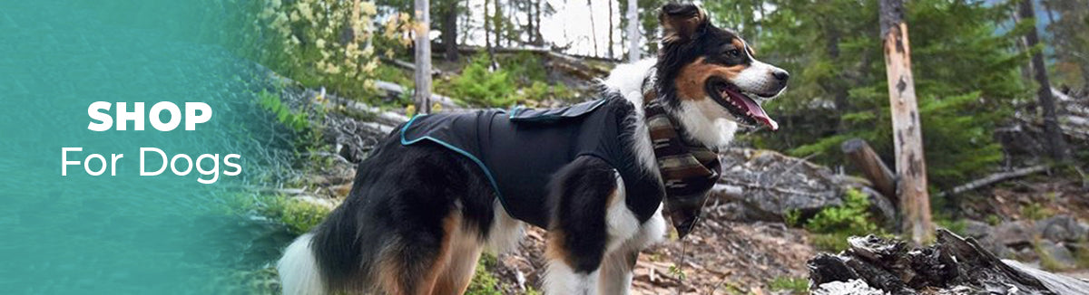 Dog Products - Benefab®