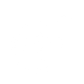 Sidebone in Horses: Causes, Symptoms, and Treatment Options