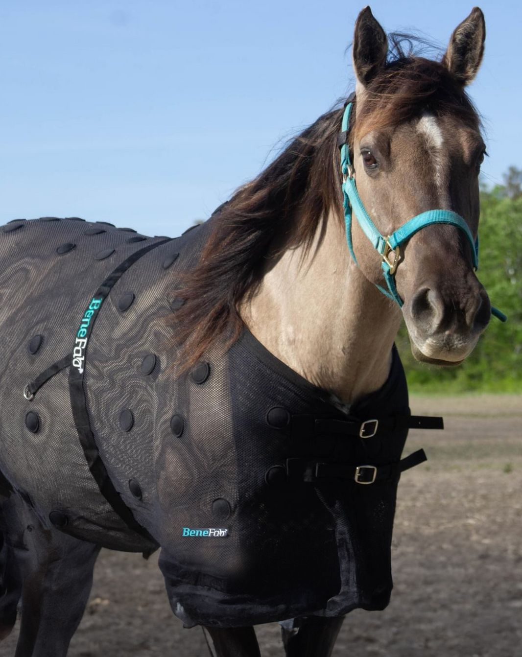 Benefab® - Less Pain | Better Performance | More Happiness