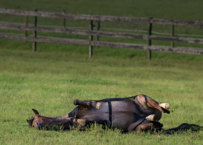 Benefab® - Less Pain | Better Performance | More Happiness