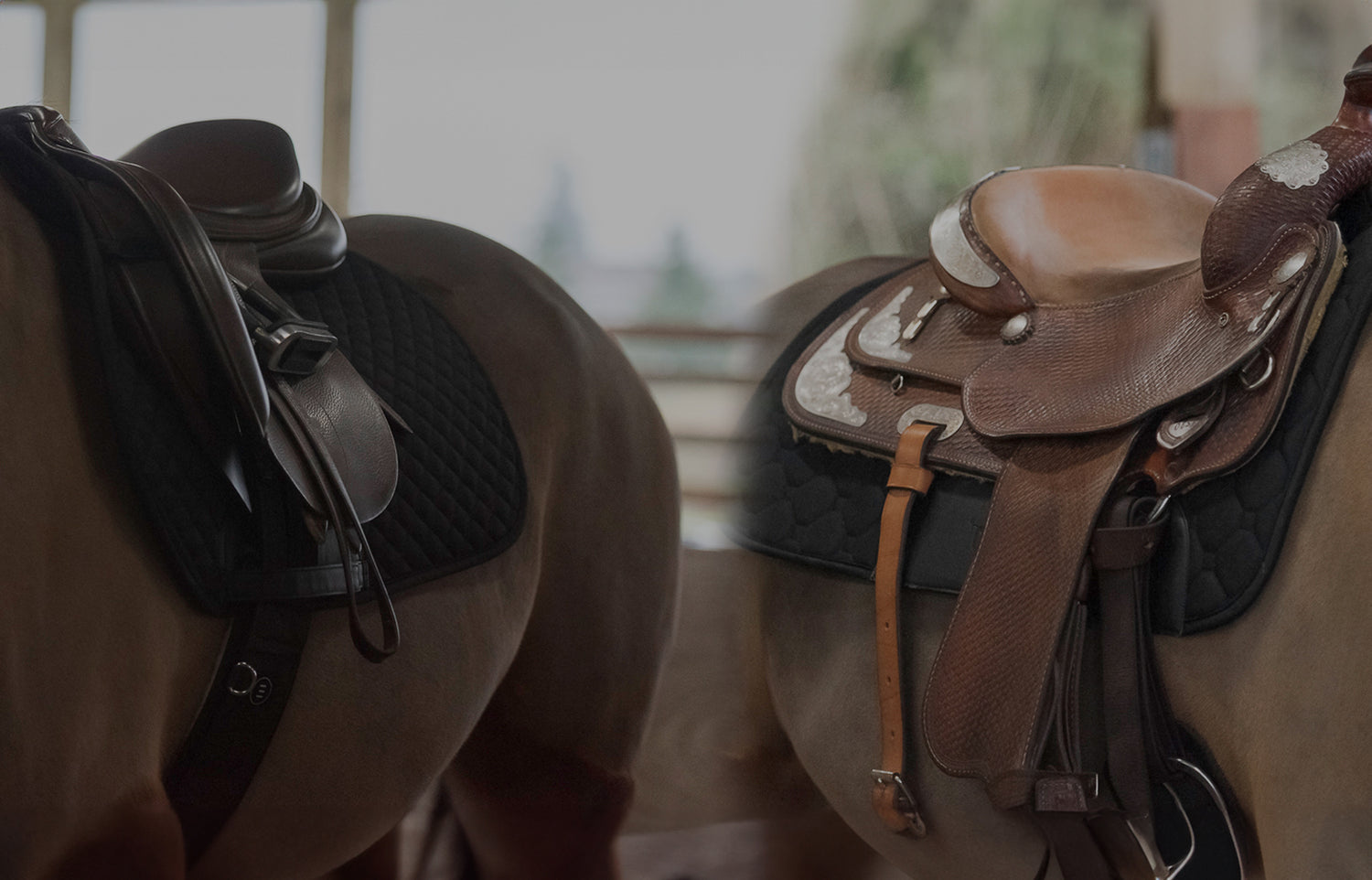 Benefab® - Less Pain | Better Performance | More Happiness