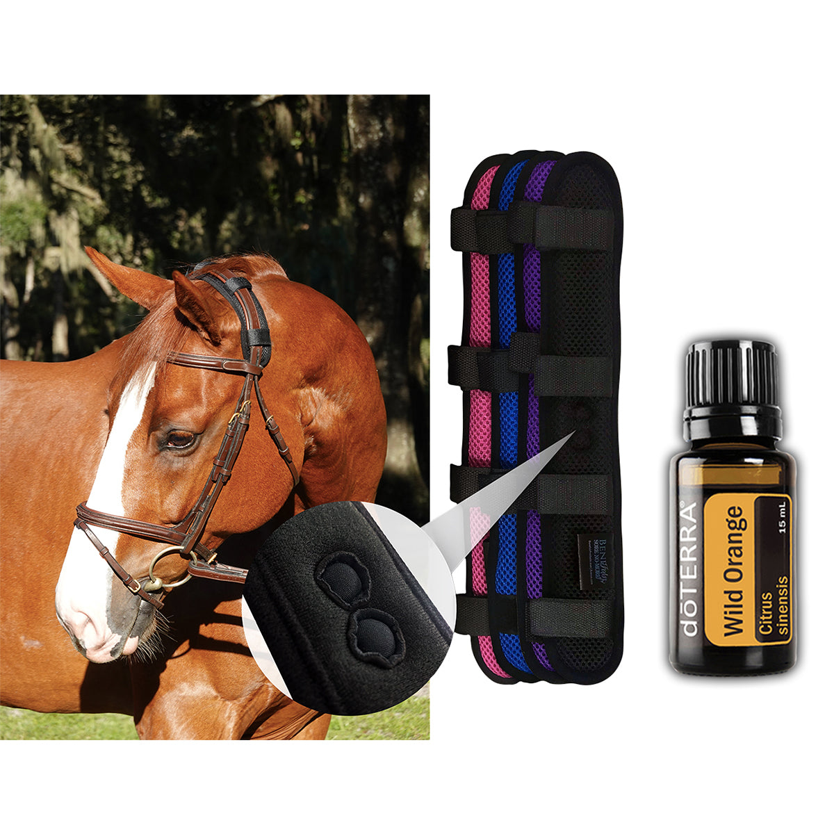 Smart Poll Pad & Wild Orange